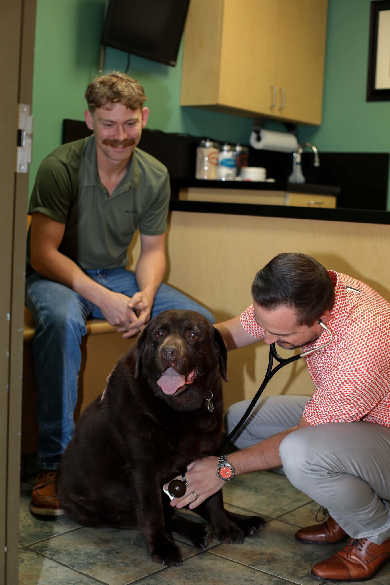 Classen View Vet – Your hometown vet, where your best friend is known ...